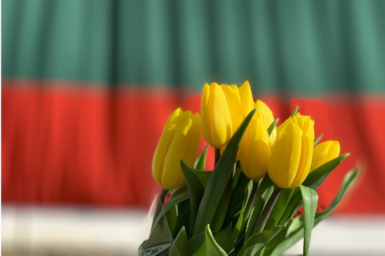 Baltų ženklai, simboliai, reikšmės ir kt. – LFPR.LT